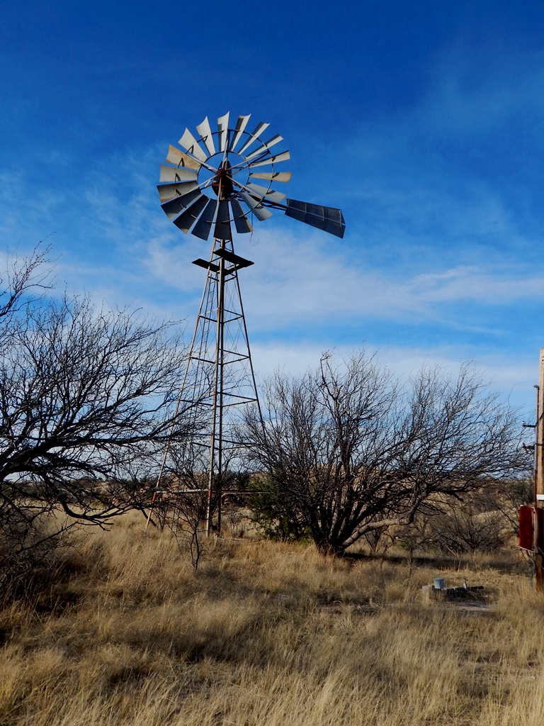 Windmill – Dana Smith