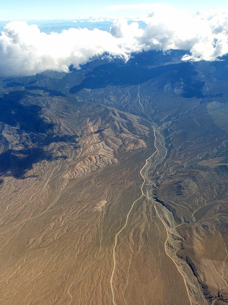 Nevada One – Dana Smith