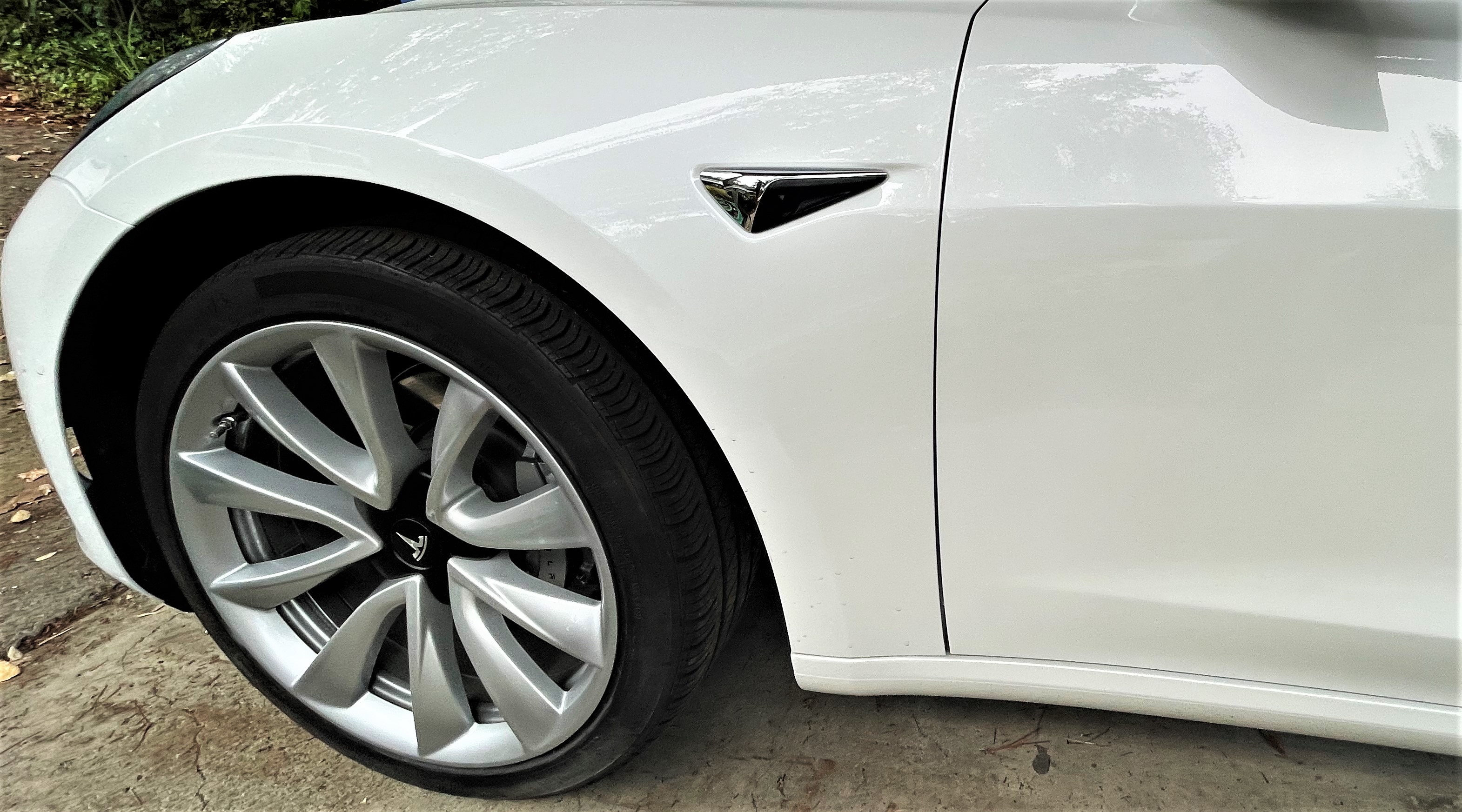 tesla – Dana Smith